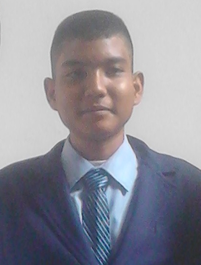 CV de José Manuel pires